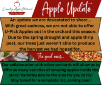 Country Apple Orchard – More Than Apples